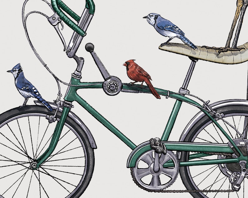 Birds on Bike 8x10 Prints North American Bird Art Fine Art | Etsy