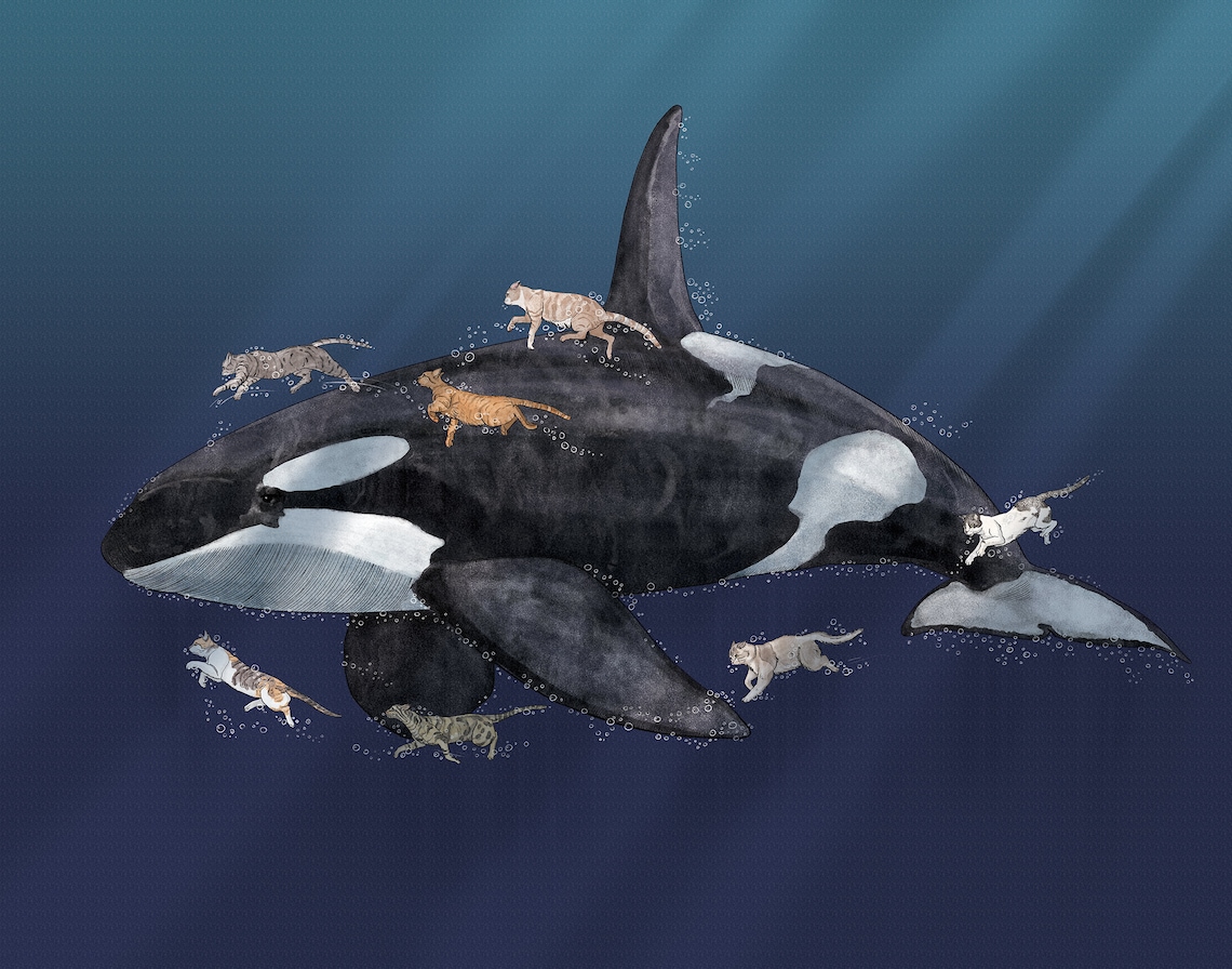Cats Swimming With Killer Whale 8x10 Print Fine Art Print | Etsy