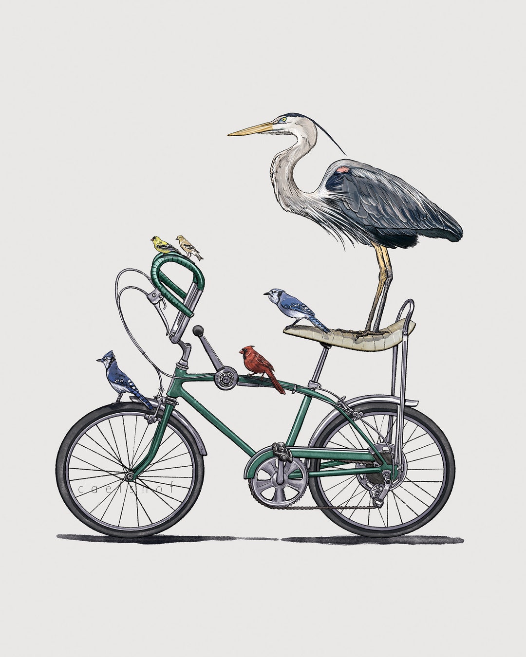 Birds on Bike 8x10 Prints North American Bird Art Fine Art - Etsy Canada