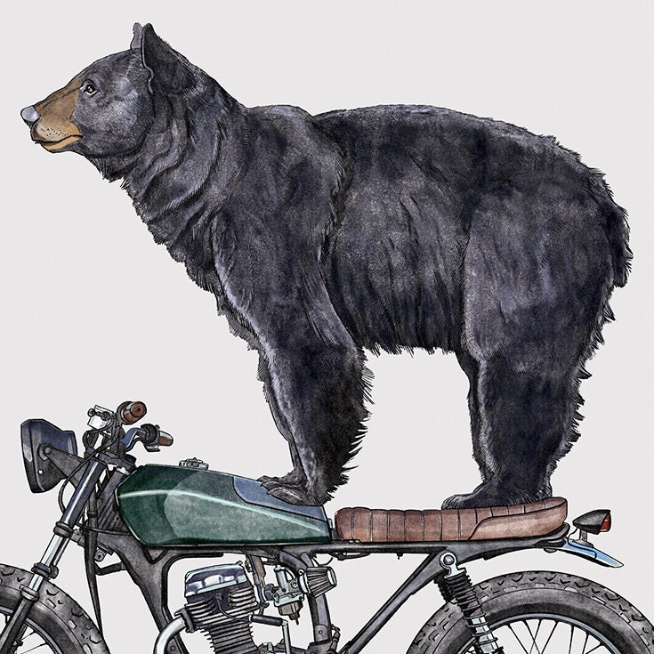 Black Bear on Motorcycle 12x12 Print Vintage | Etsy