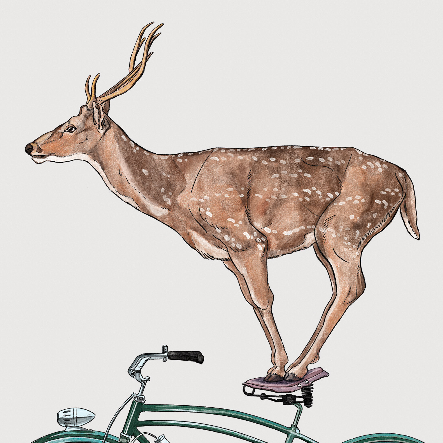 Deer on Bicycle 8x10 Print White-tailed Deer Wall Décor - Etsy