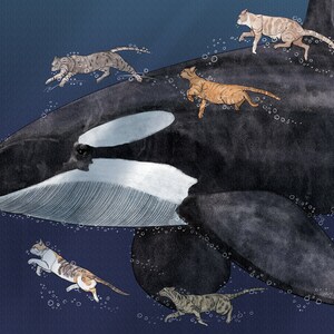 Cats Swimming With Killer Whale 8x10 Print, Fine Art Print, Fun Art ...