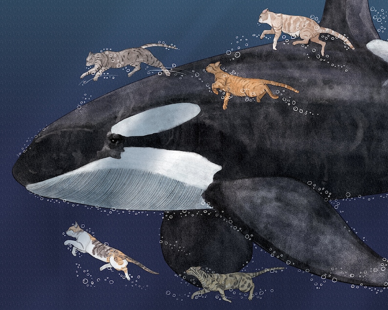 Cats Swimming With Killer Whale 8x10 Print Fine Art Print | Etsy