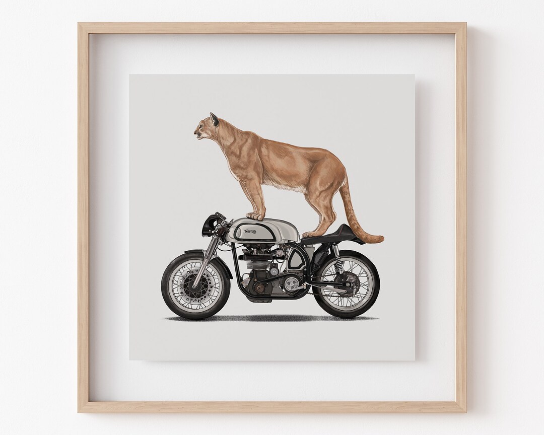 Wildcat on Motorcycle - 12x12" Print, Motorcycle Painting, Vintage ...