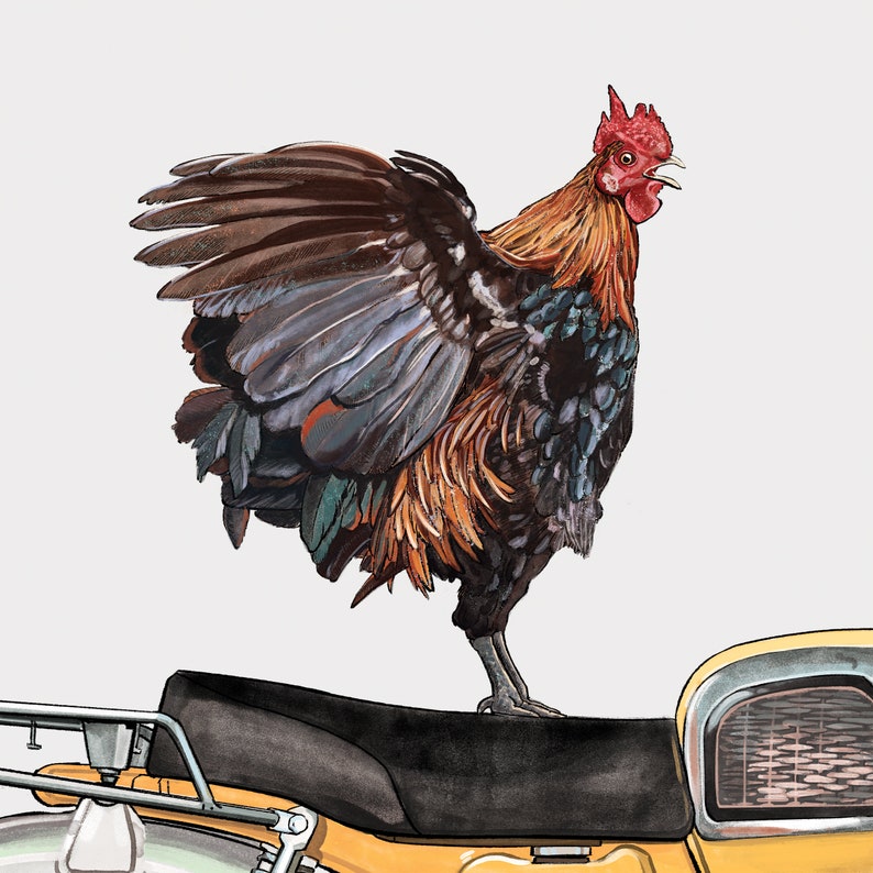 Rooster on Yamaha 11x14 Print Vintage Motorcycle - Etsy UK