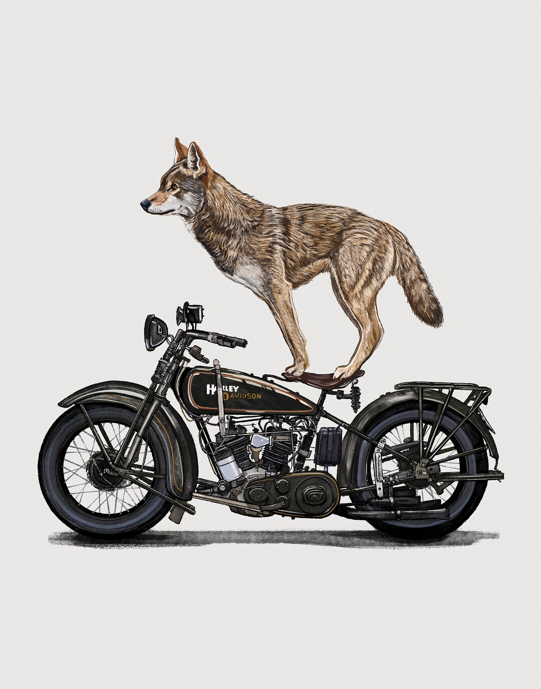 Red Wolf on Motorcycle 11x14 Art Print, Modern Rustic Décor, Wildlife ...