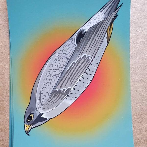 Peregrine Falcon - Etsy