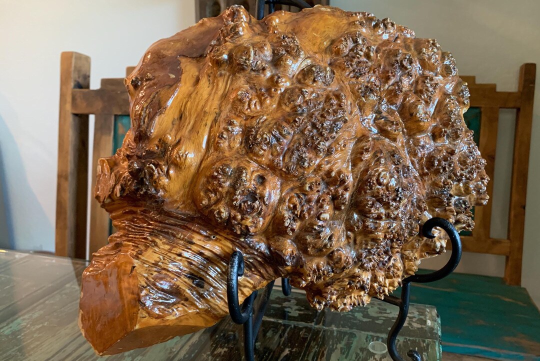 Polished Natural Wood Burl Large Sculpture | Unique Tree Burl Art on ...