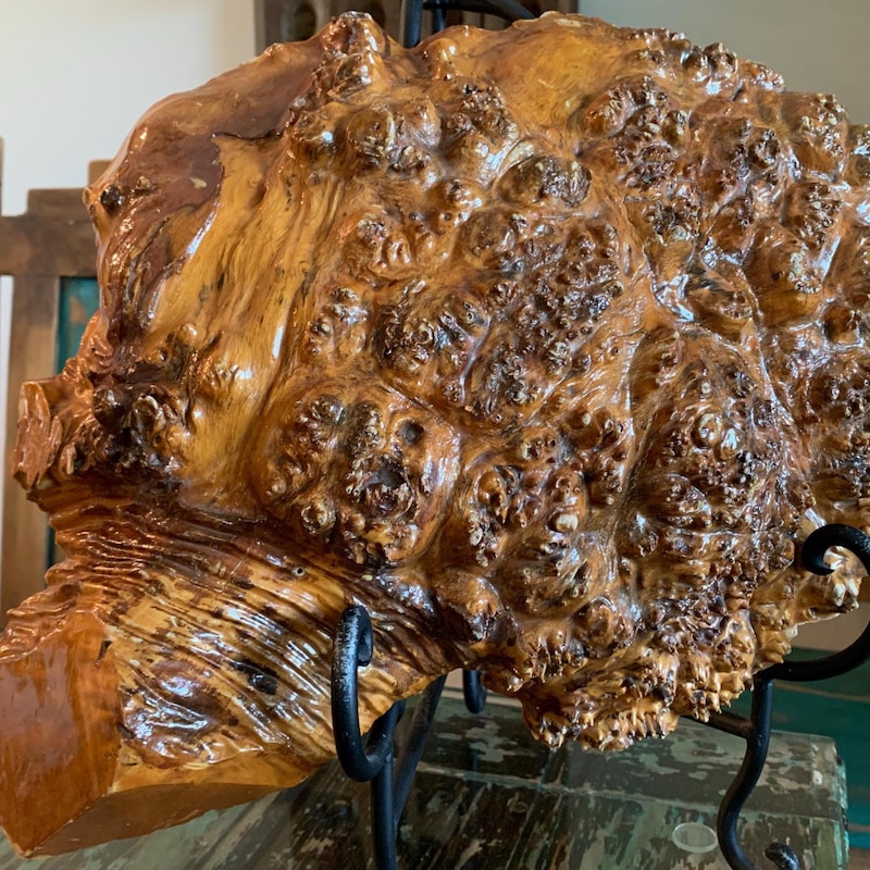 Burl Lamp - Etsy