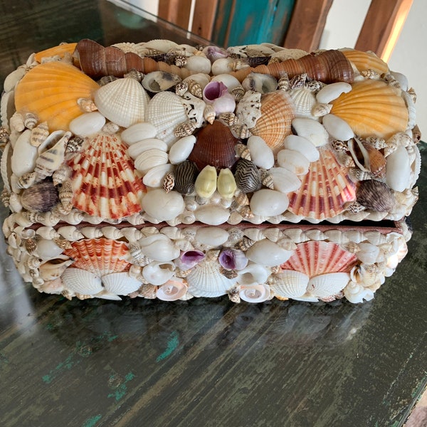 Seashell Jewelry Box - Etsy