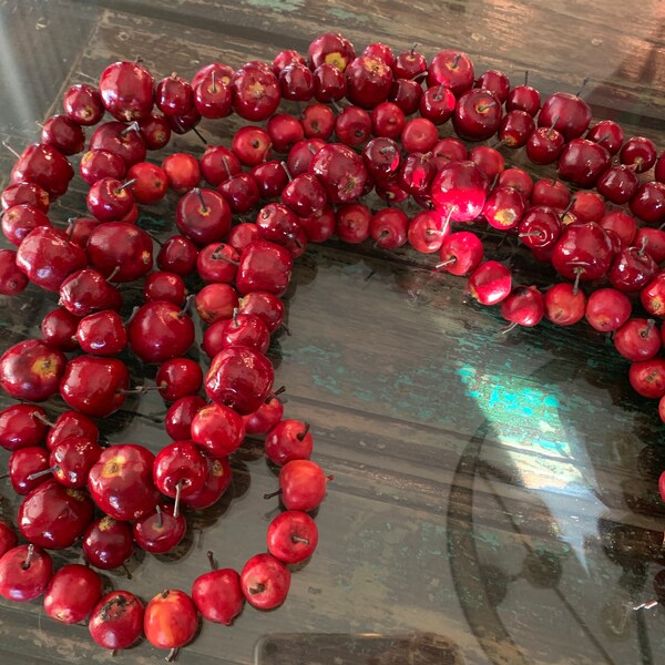 Apple Garland - Etsy