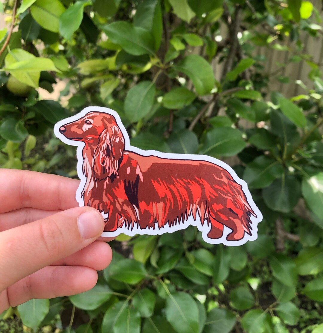 Long-haired Dachshund Sticker - Etsy