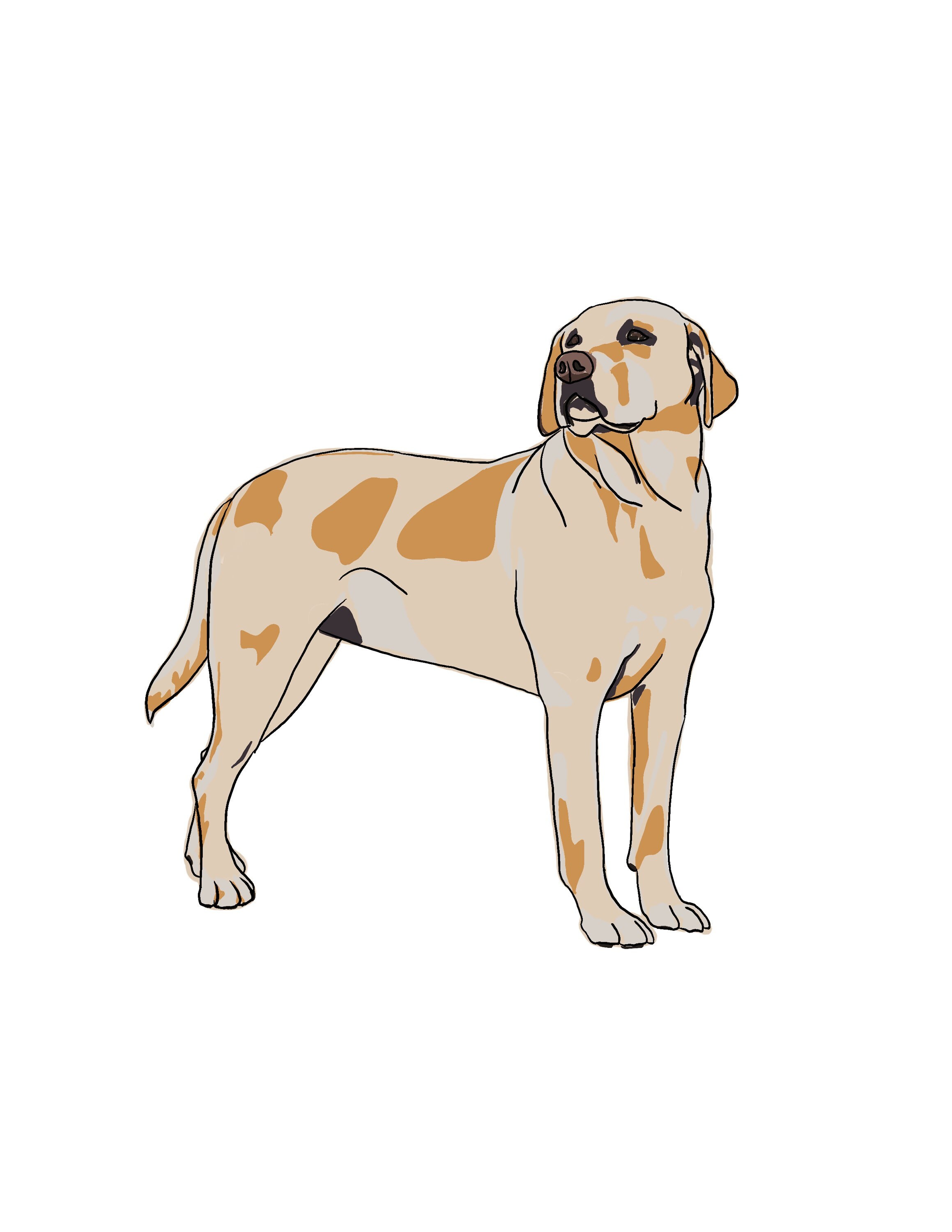 Yellow Lab Sticker - Etsy