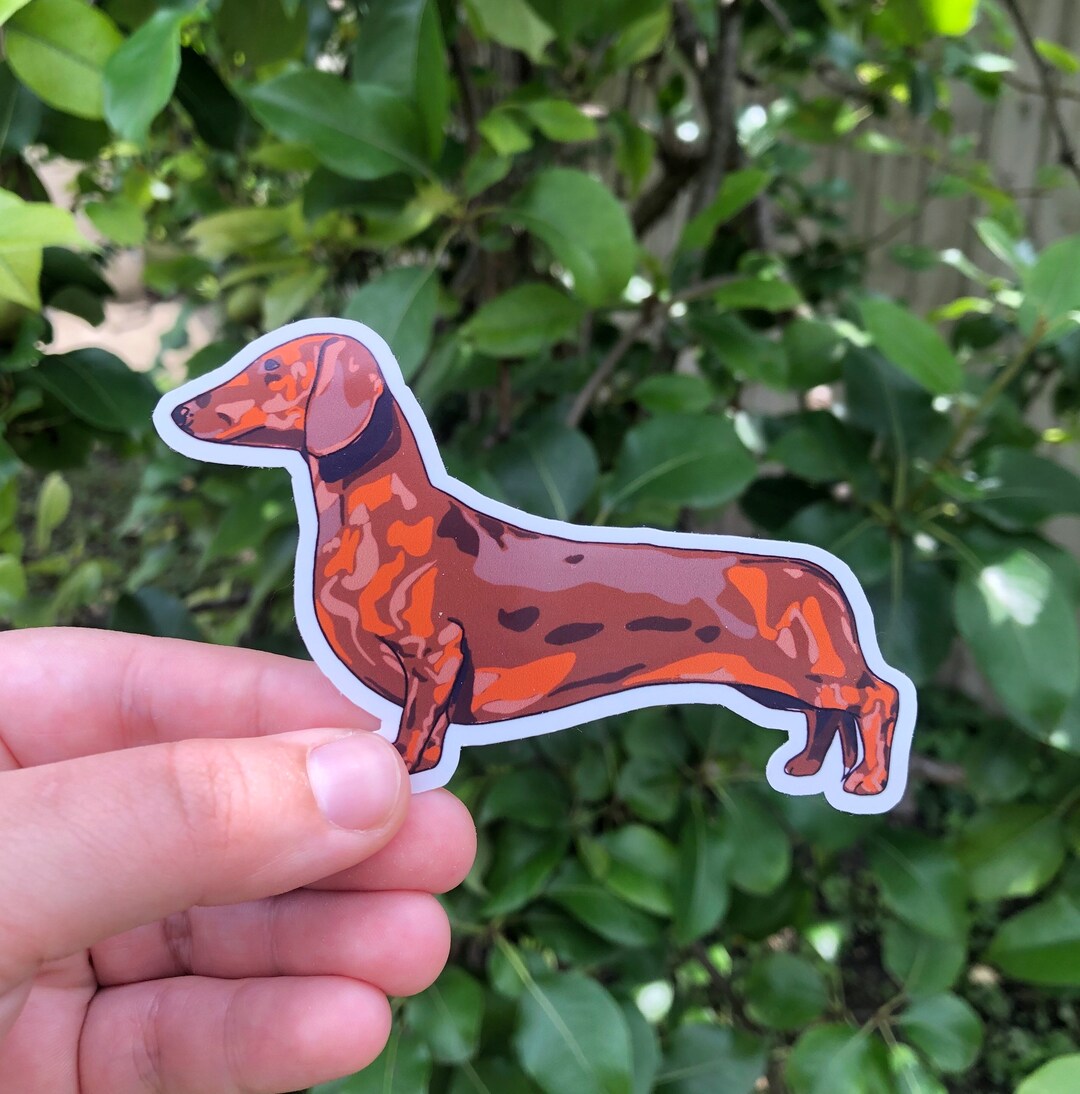 Dachshund Sticker - Etsy