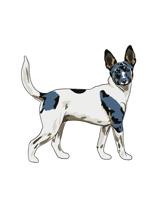 Rat Terrier Sticker | Etsy