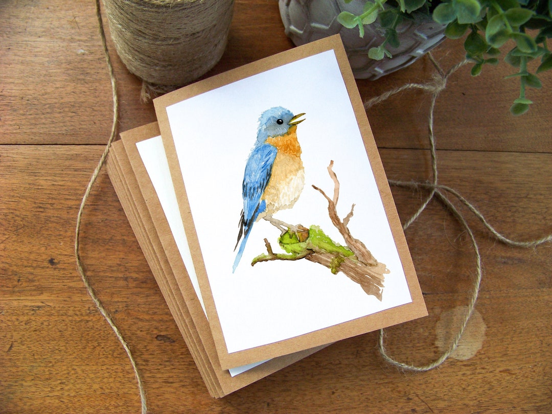 Watercolor Bird Cards - Set of 6 Notecards - Etsy