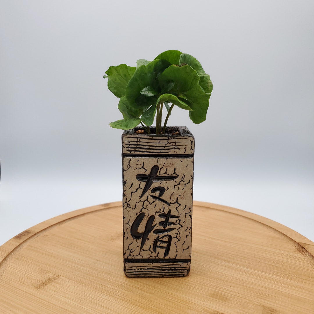 Chinese Handmade Oriental Planter With Potted House Plants "wisdom ...