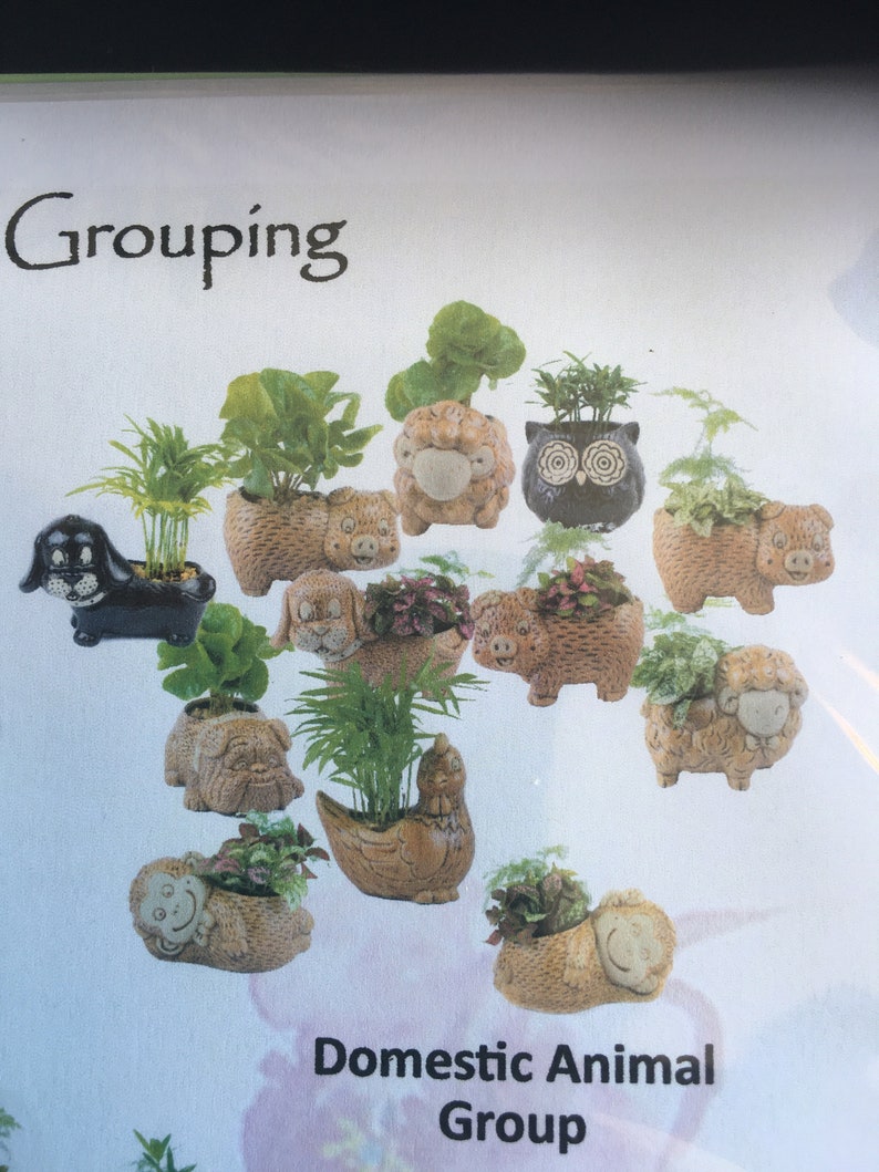 Pottery Cute Turtle Animal Planter Indoor Plants Small | Etsy