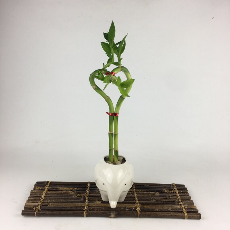 Bamboo Pottery - Etsy