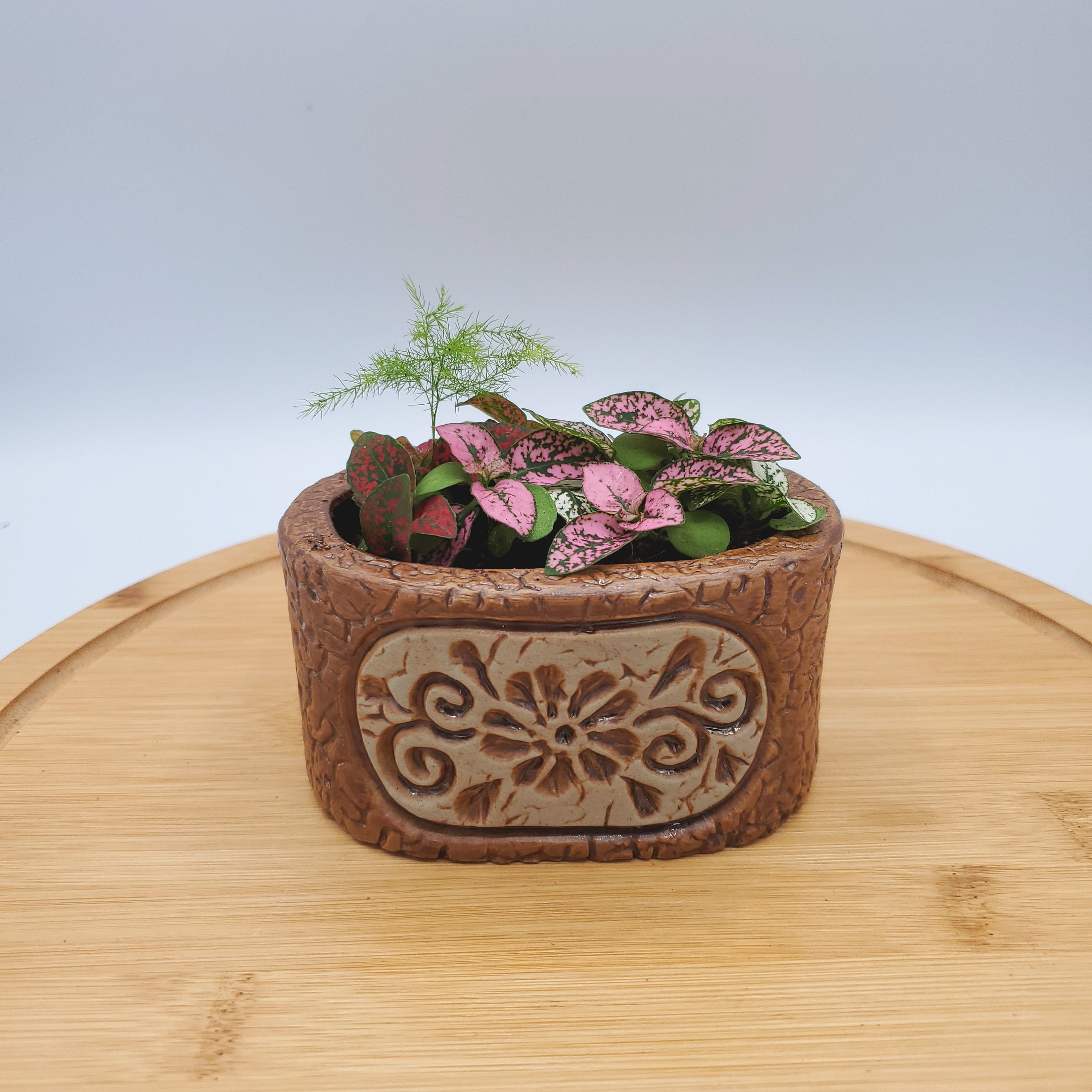 Floral Oval Planter Potted Plants Coffee Parlor Palm - Etsy