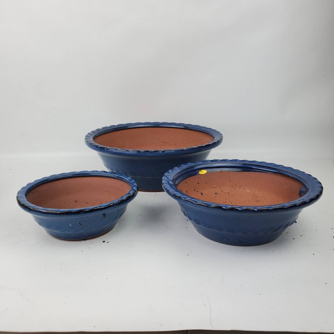 Bonsai Pot Set of 3, 6,8&10 for Indoor Medium Bonsai Tree, Succulent ...