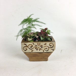 Floral Design Planter With Potted House Plants - Coffee Parlor Palm ...