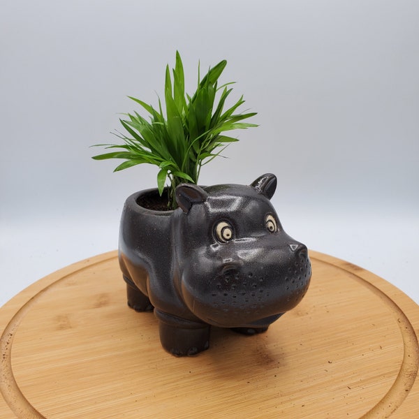 Hippopotamus Planter - Etsy
