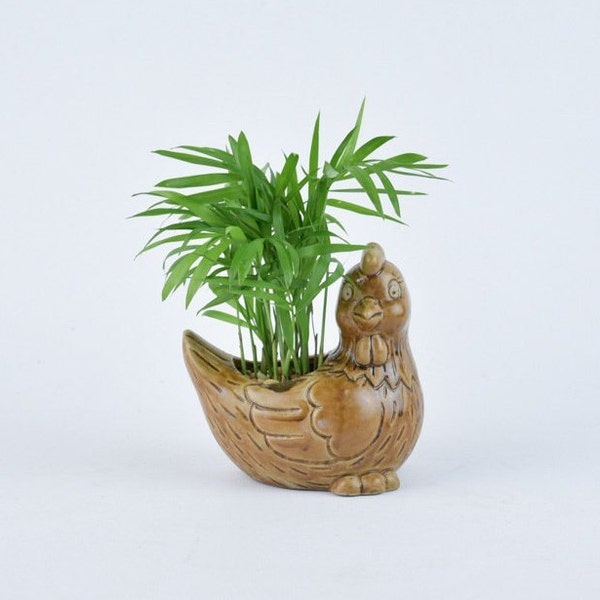 Rooster Planter - Etsy