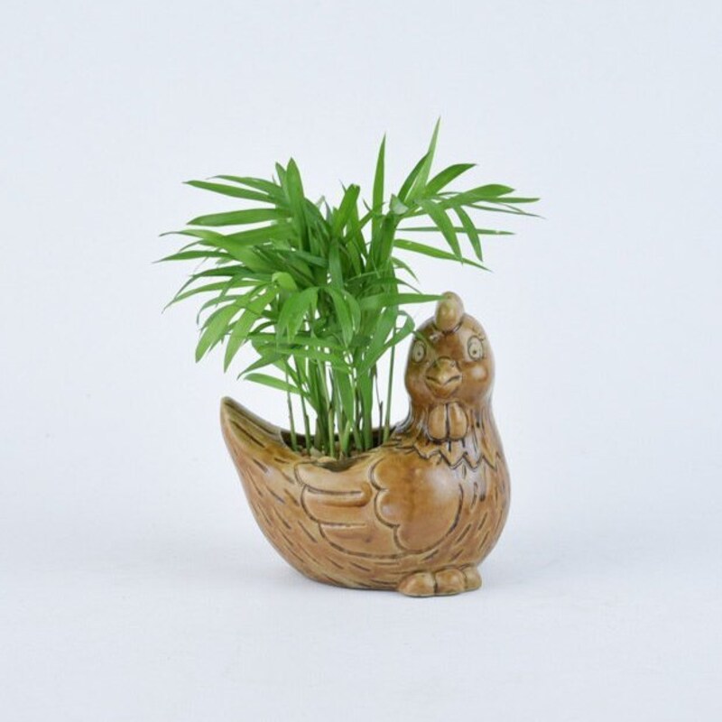 Hen Planter - Etsy