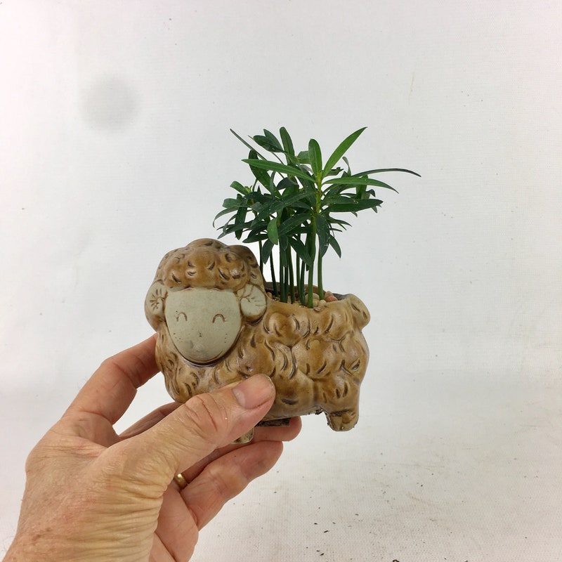 Sheep Planter - Etsy
