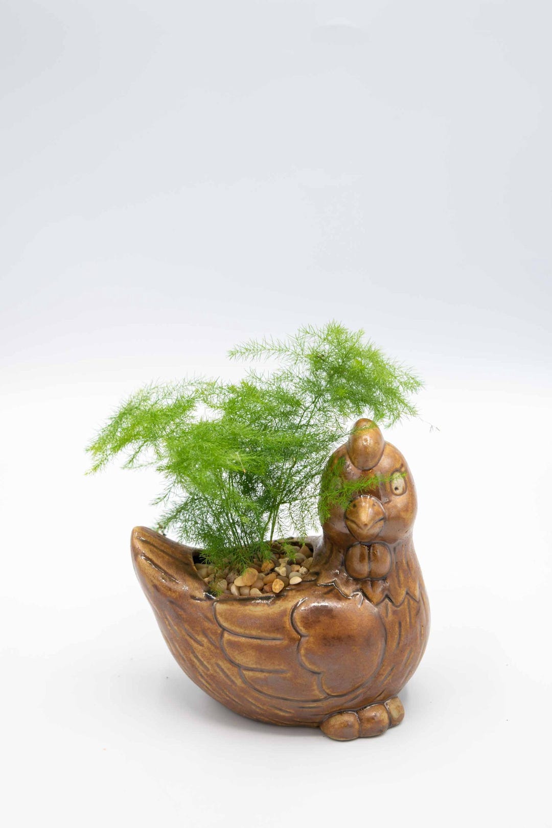 Farmhouse Chicken Planter – Ceramic Hen Pot for Succulents, Indoor ...