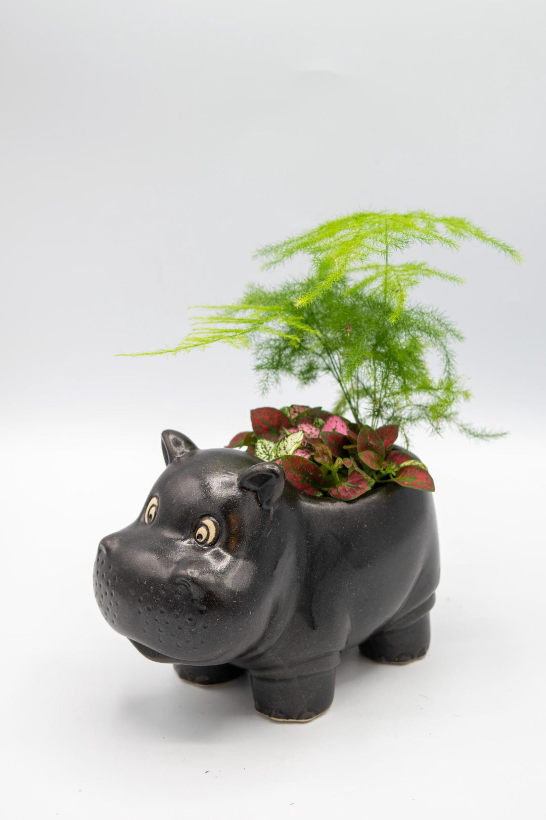 Hippo Planter – Large Ceramic Animal Pot, Succulent Planter, Desk Decor ...