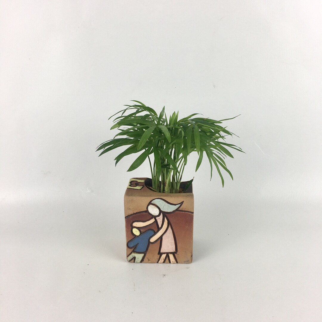 Handmade Planter With Potted House Plants - Coffee Parlor Palm Polka ...