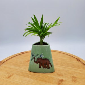 Elephant Painted Planter Potted Plants, Coffee, Parlor Palm, Hypoestes ...