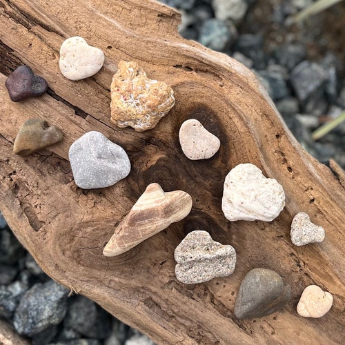 36 Love Stones Flat Tiny to Medium Heart Shaped Sea Rocks for - Etsy