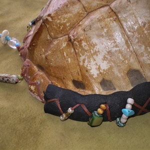 Snapping Turtle Shell Maraca Rhythm Percussion Instrument - Etsy