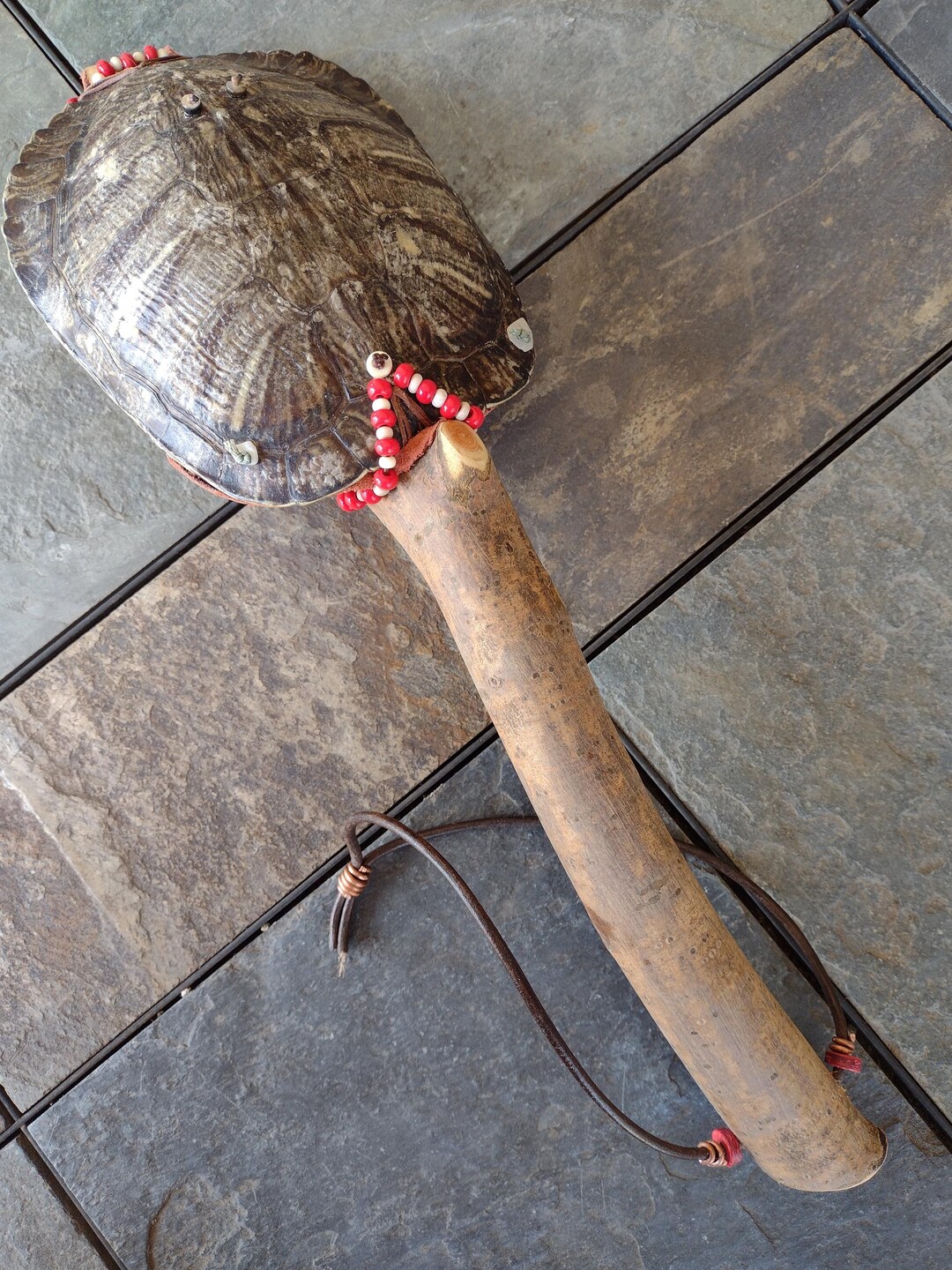 Red Eared Slider Turtle Shell Shaman Rattle Maraca With Willow Branch ...