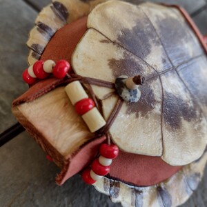 Red Eared Slider Turtle Shell Shaman Rattle Maraca With Willow Branch ...