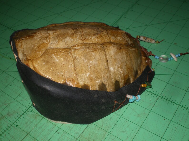 Snapping Turtle Shell Maraca Rhythm Percussion Instrument - Etsy