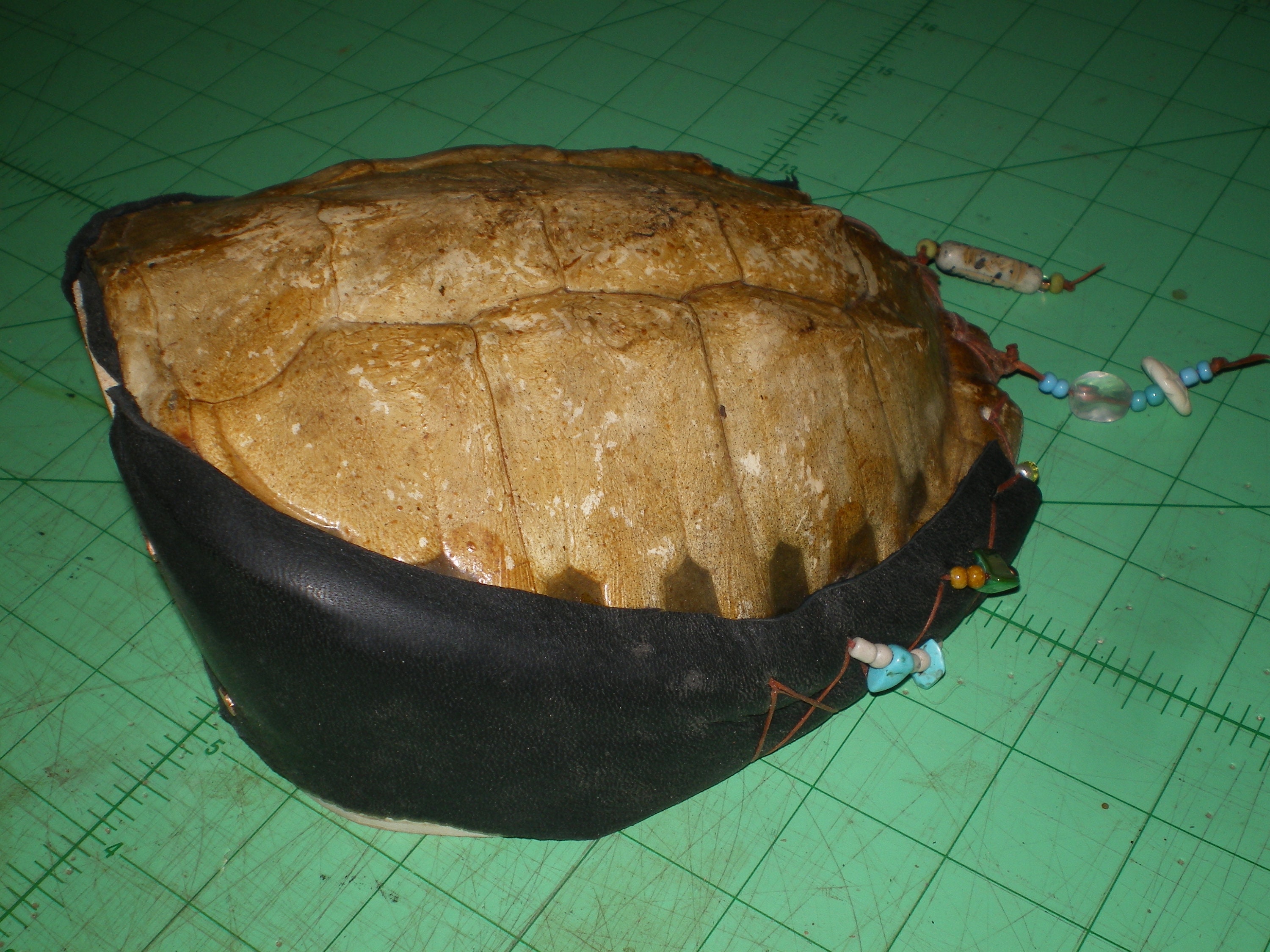 Snapping Turtle Shell Maraca Rhythm Percussion Instrument - Etsy