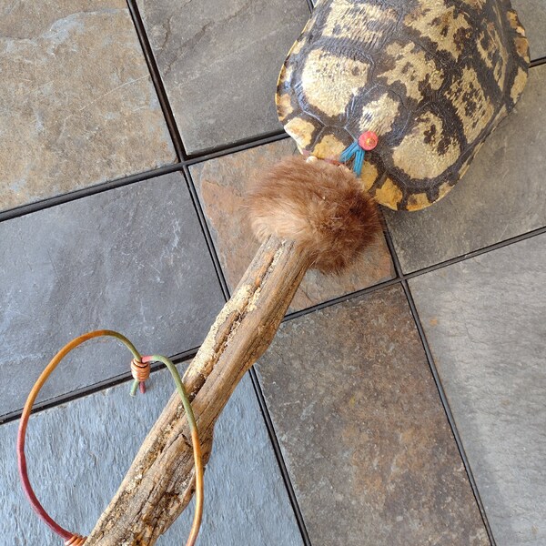 Turtle Shell Rattle - Etsy