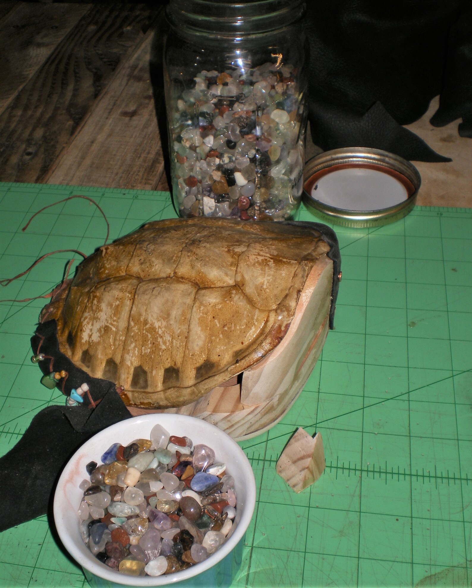 Snapping Turtle Shell Maraca Rhythm Percussion Instrument - Etsy