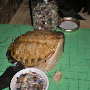 Snapping Turtle Shell Maraca Rhythm Percussion Instrument - Etsy