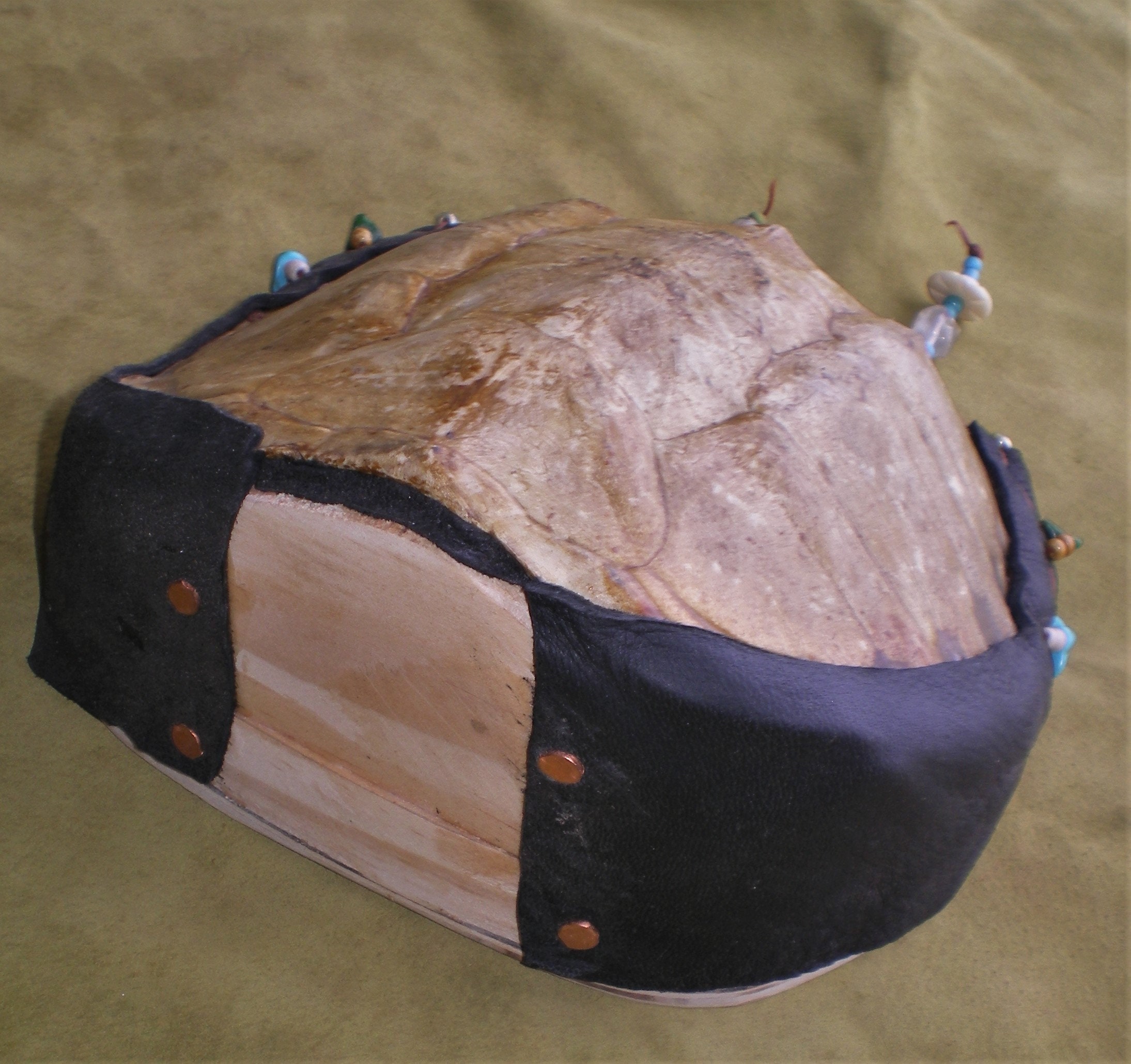 Snapping Turtle Shell Maraca Rhythm Percussion Instrument - Etsy