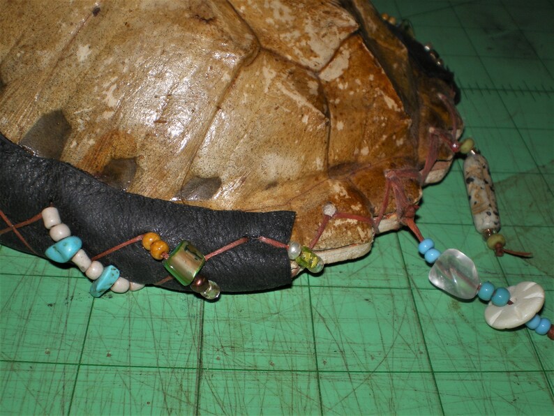 Snapping Turtle Shell Maraca Rhythm Percussion Instrument - Etsy