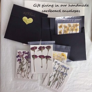 Blooming Rosespressed Flowerpack of 12 Pcsrosedried - Etsy