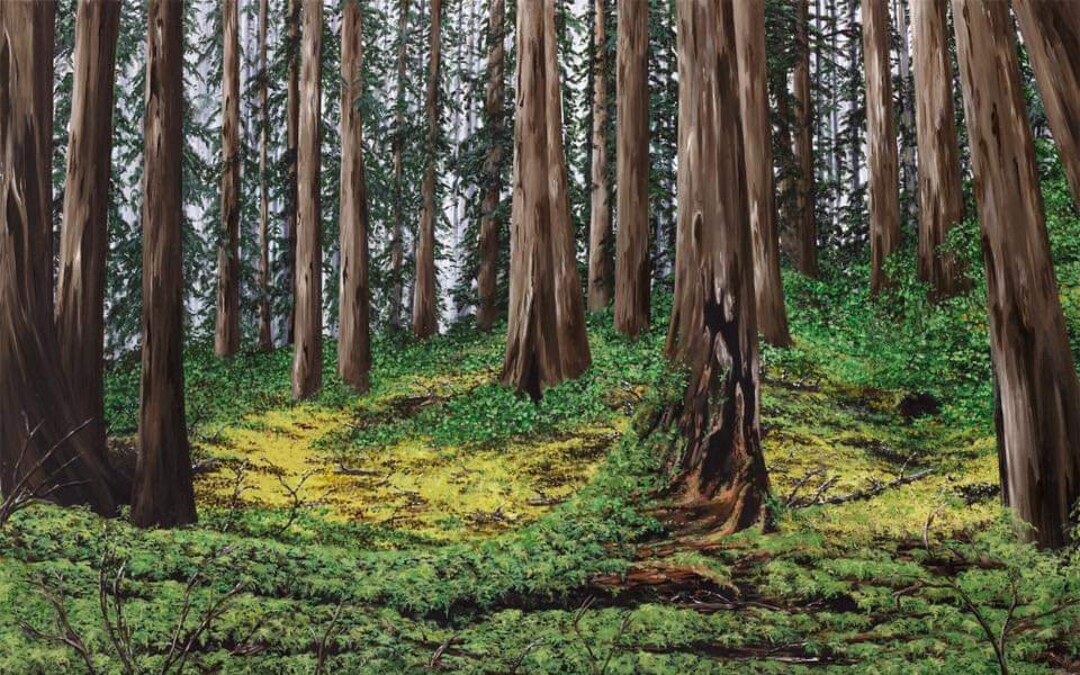 Forest Path, 11x17.5 Fine Art Print on Cotton Rag Art Paper,west Coast ...