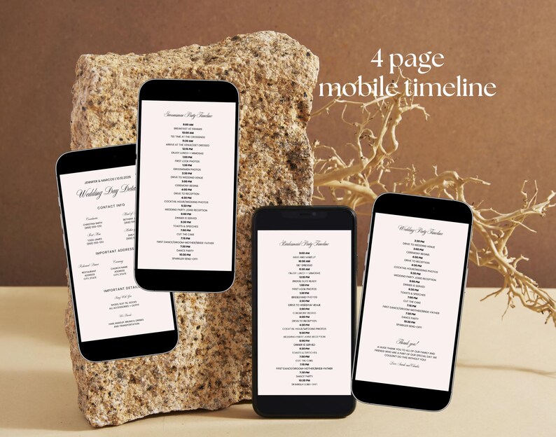 Editable Wedding Details Card, Mobile Wedding Day Template, Reception ...