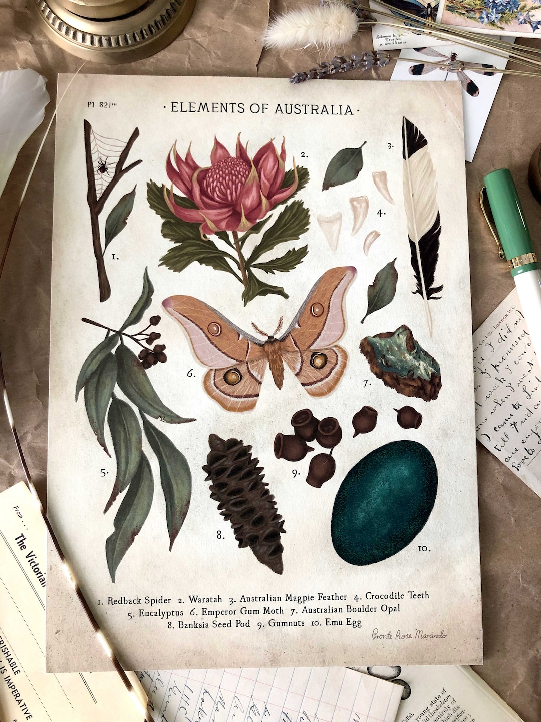 Elements of Australia Giclée Art Print A4 - Etsy