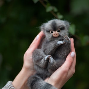 Made to Order Marmoset Monkey Realistic Stuffed Toy - Etsy